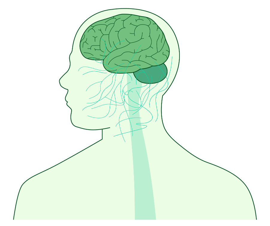 Infrared & Red Light Therapy For Brain Health – SYMBYX Biome